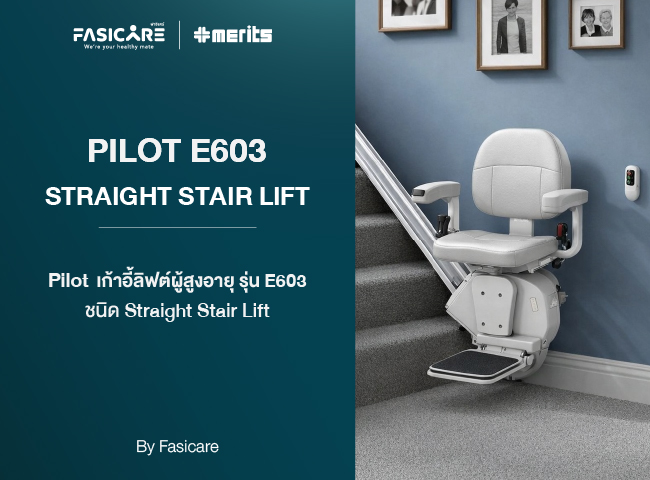 E603 Aviator ลิฟต์บันไดตรง - Pilot Stair Lift